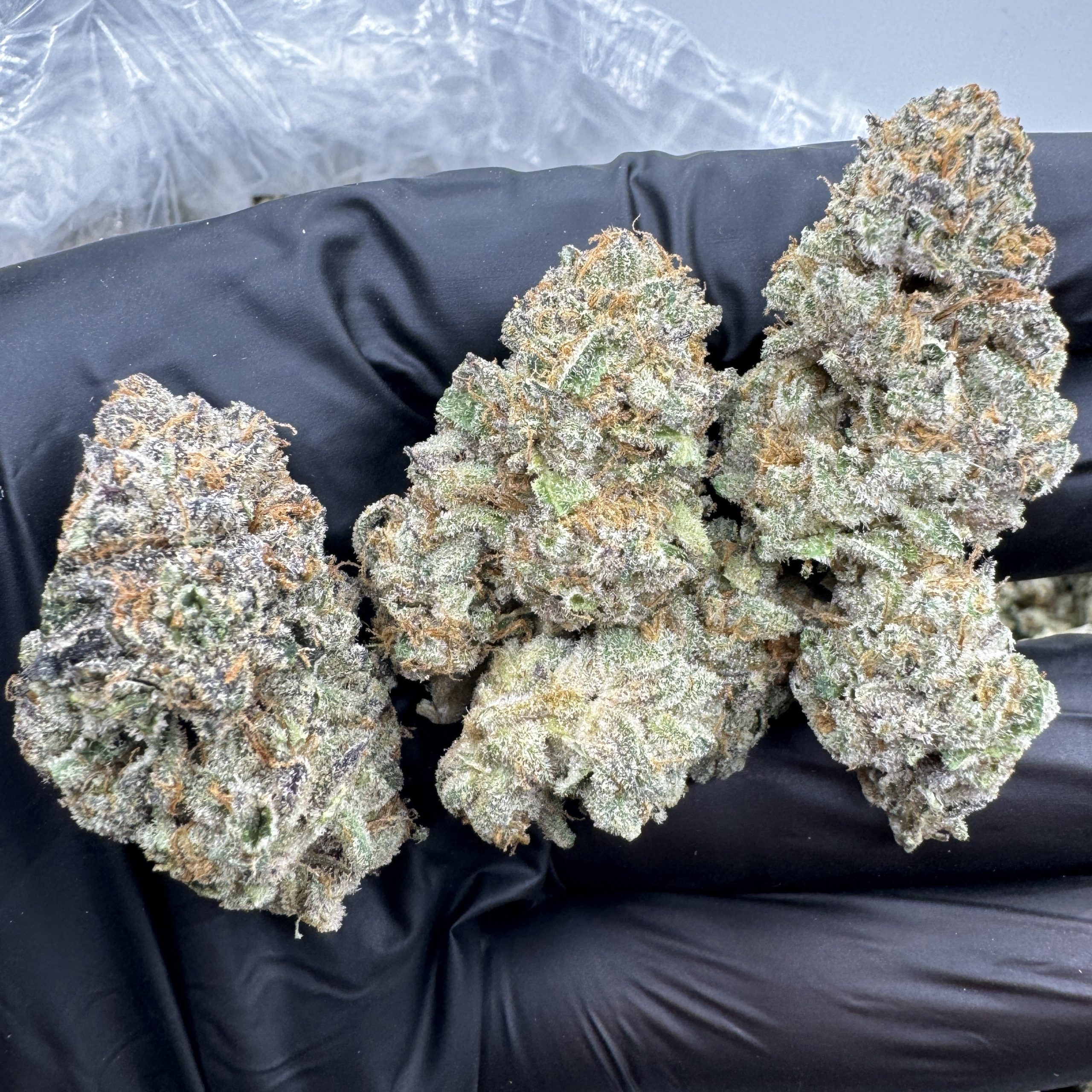 Purple Cookie Dough (H) - SDSleepyGreens.com