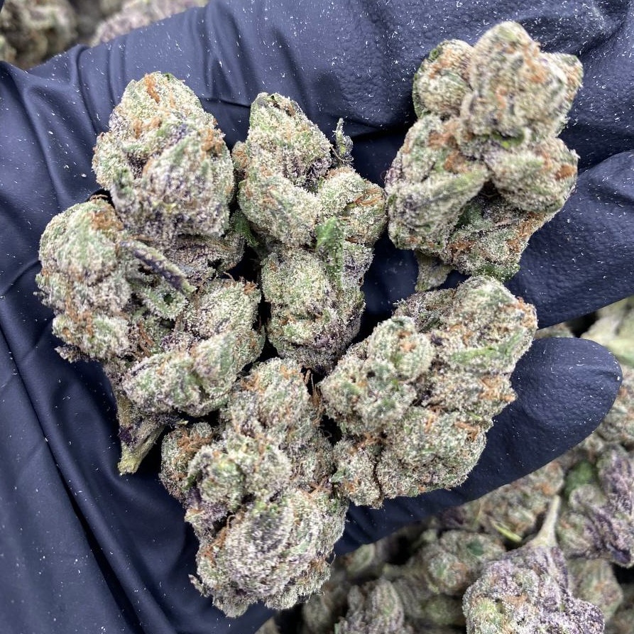Grape Candy Runtz (I) - SDSleepyGreens.com