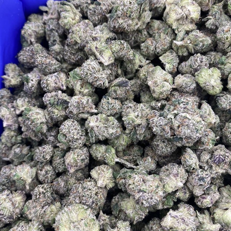 Bolo Runtz (I)(28g) - OneStopGreens.com